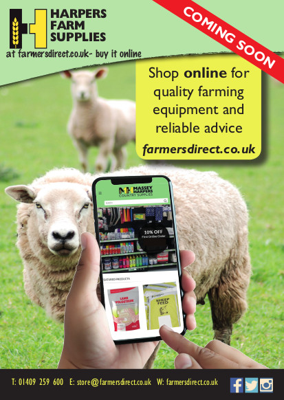 Livestock and Poultry sales